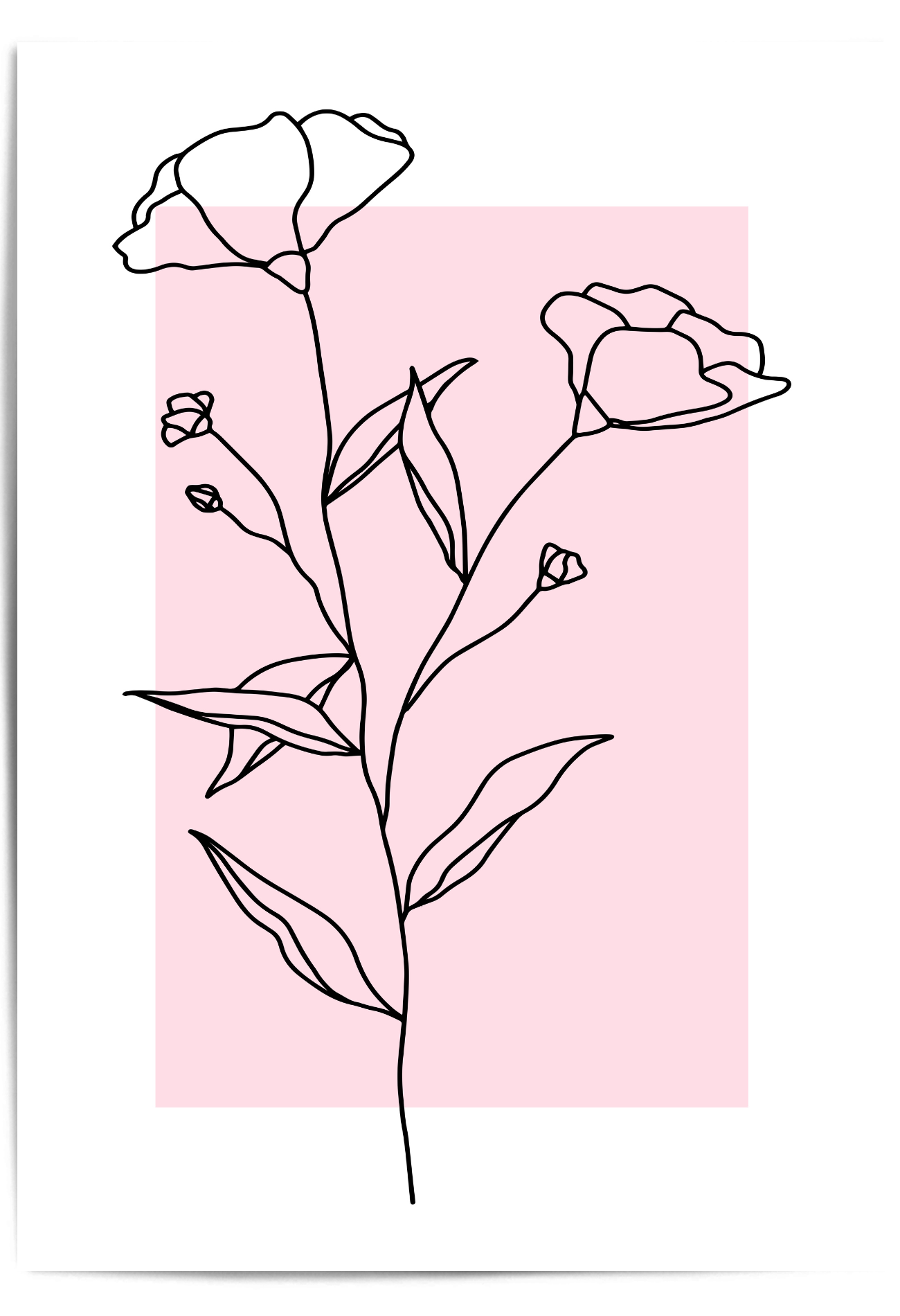 Pastel Pink Flower Line Art Print – The Wall Habitat